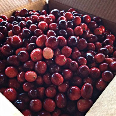 Fresh Cranberries - Fresh Cranberries